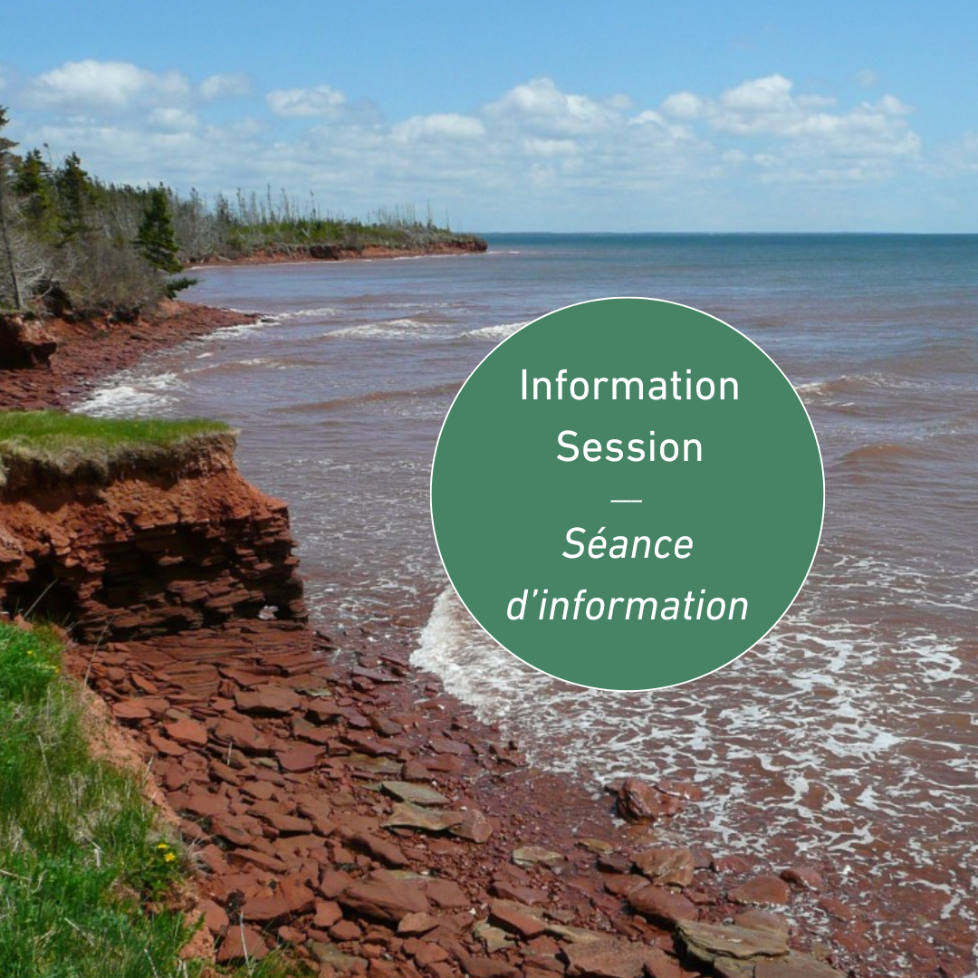 Watch Our Latest Information Session - Climate Ready Infrastructure Service