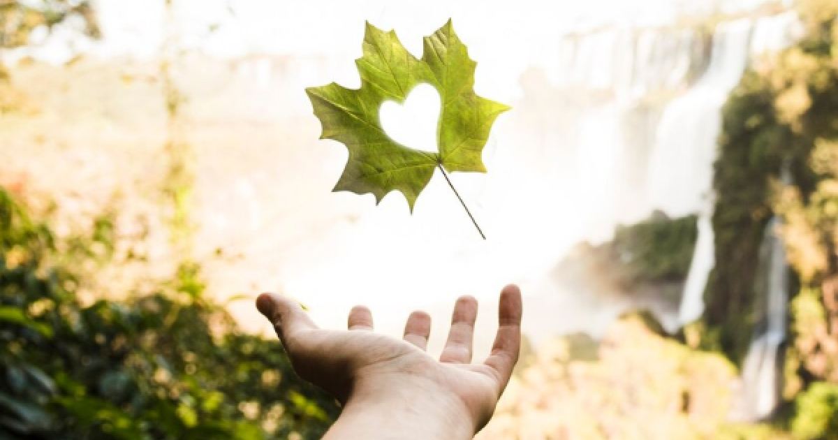 Climate Ready Infrastructure Service (CRIS) - Climate Ready ...