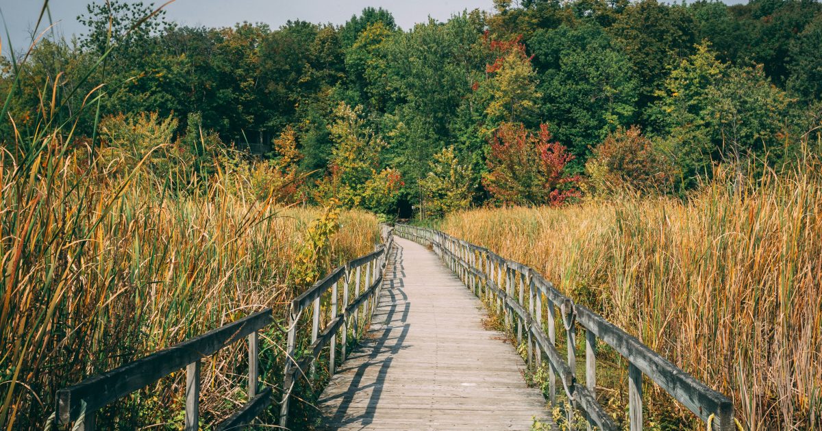 Apply Now - Climate Ready Infrastructure Service